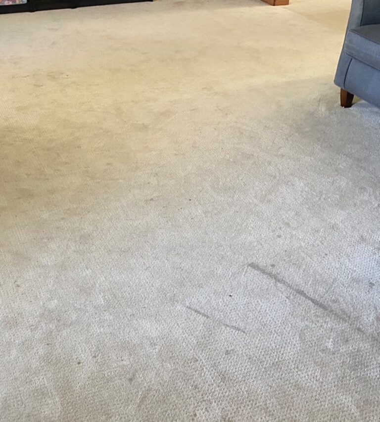 SN Cleaning, Inc. | Chicago's Best-Reviewed Carpet Cleaners